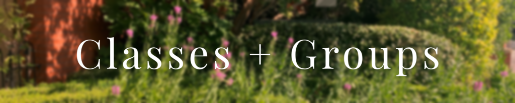 Classes + Small Groups - First Methodist McKinney