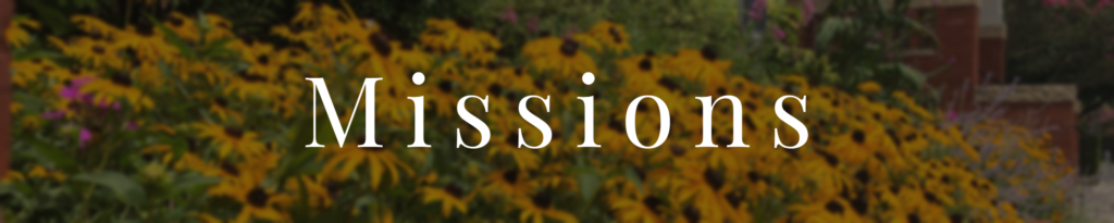 Missions - First Methodist McKinney